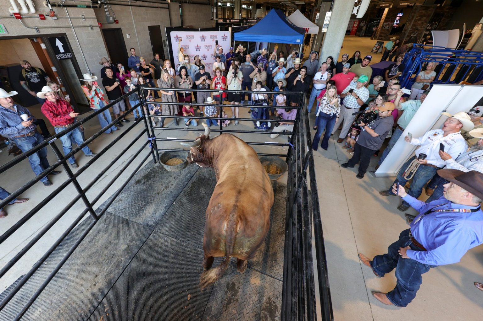 LEGENDARY BULL BUSHWACKER MAKES HIS PICK FOR THE 2022 PBR WORLD ...