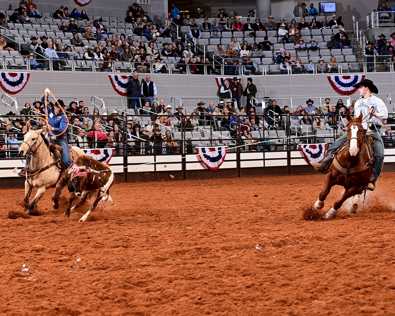 WYOMING BRONC RIDER SETS ARENA RECORD AT FORT WORTH STOCK SHOW & RODEO PRORODEO TOURNAMENT ...
