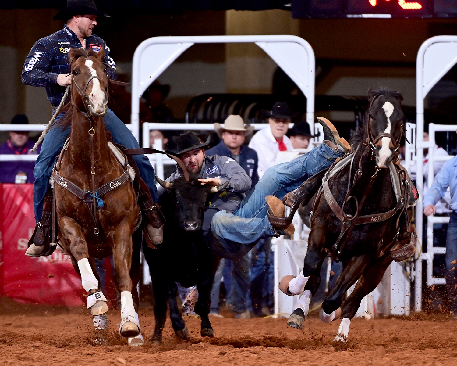 MINNESOTA BULL RIDER ENJOYING FORT WORTH STOCK SHOW & RODEO - TENN ...