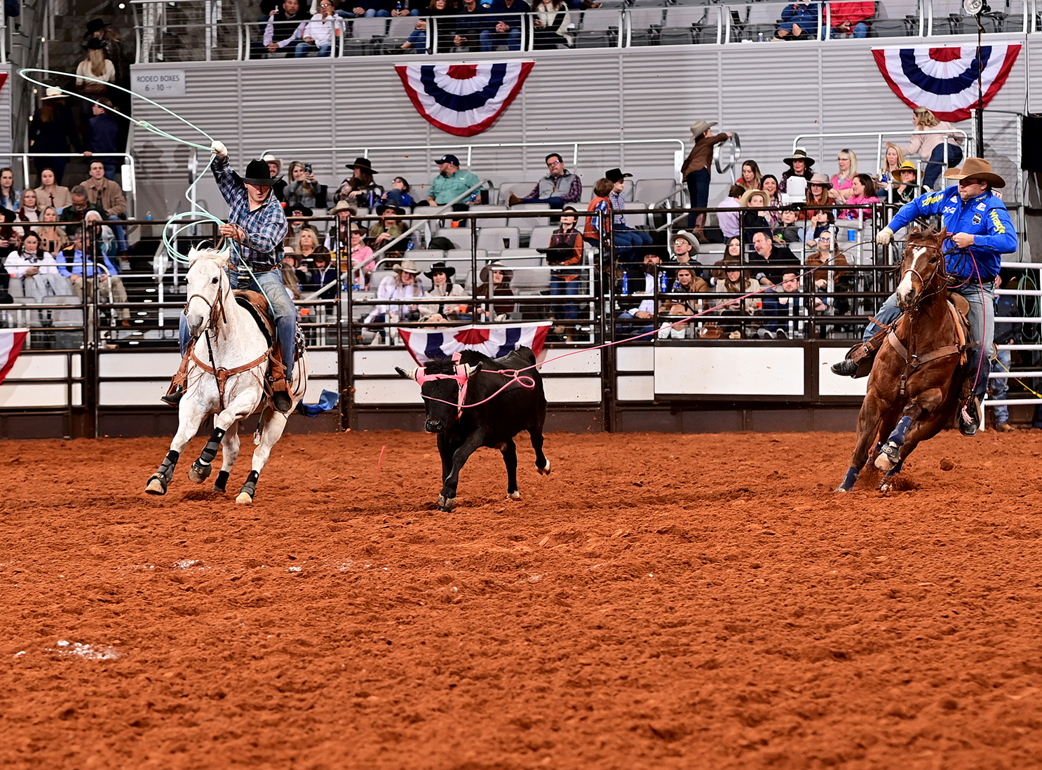 BAREBACK RIDER FEILD MATCHES OWN RECORD AT FORT WORTH - TENN TEXAS