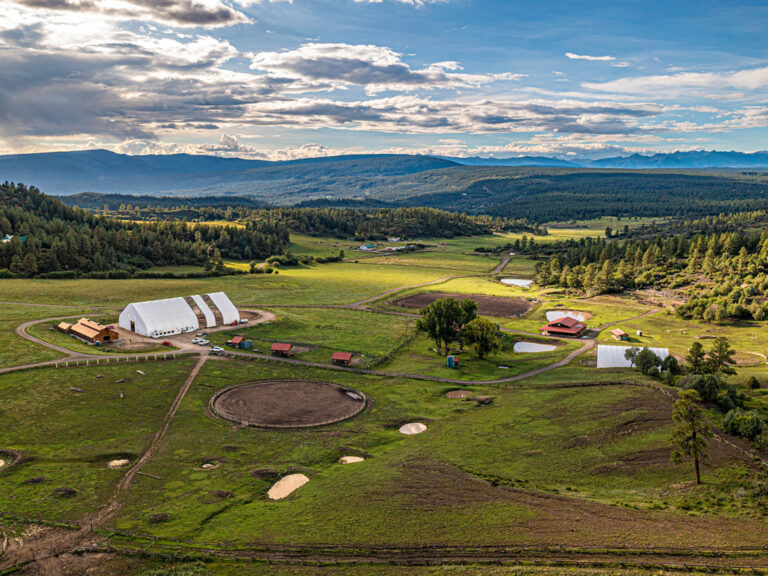 WORLD FAMOUS PARELLI RANCH UP FOR AUCTION - TENN TEXAS