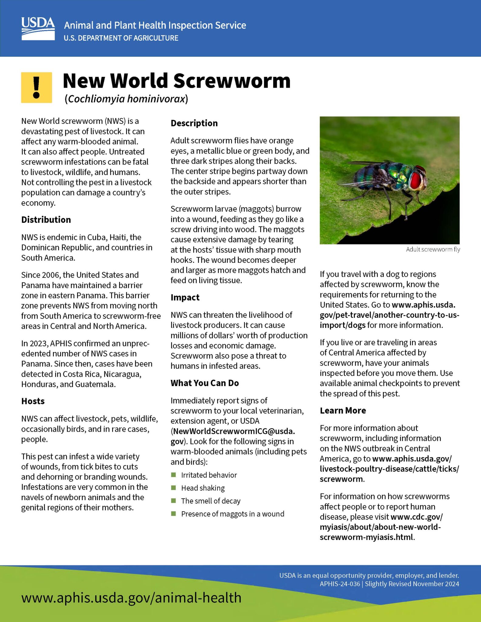 The Detection of New World Screwworm in Mexican Livestock - TENN TEXAS