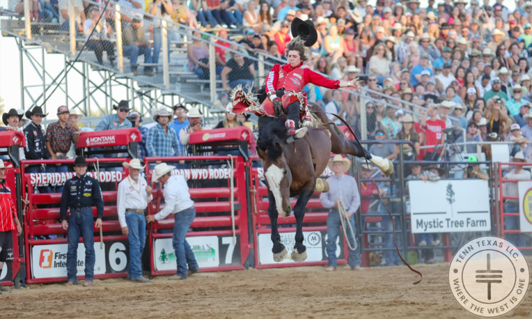 'Hell on Wheels' with Rocker Steiner: Revolutionizing Rodeo - TENN ...
